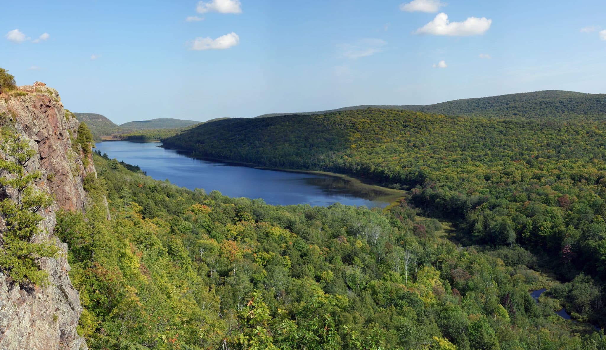Appalachian Hardwood Forest Banking Trees | NWH News