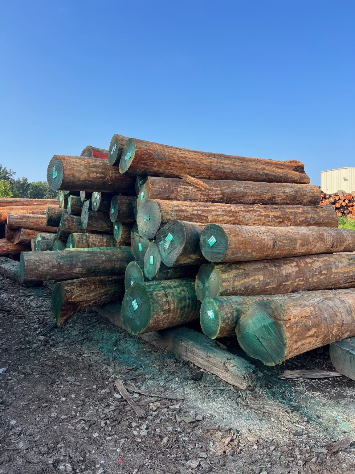 Find a Sales Rep | NWH Hardwood Lumber Manufacturing & Distribution